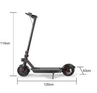 China 10 inch Tyre Electric Self Balancing Scooter with Rechargeable Battery and LED Lights for sale