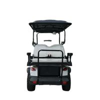 China 2400mm Wheelbase Electric Golf Cart with Transaxle and Tire Golf Buggy Cart in Market for sale