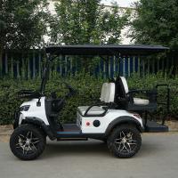China Lake Horse Electric Golf Cart with Buggy Car Tour Tire Front Disc Rear Drum Brake System for sale