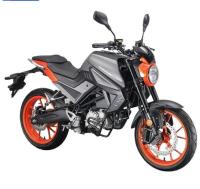 China Front 110/70-17 Rear 140/70-17mm Tyre Size Electric Motorcycles for B2B Marke for sale