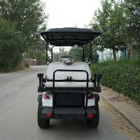 China Lake Horse Golf Buggy 2 Seater Electric Tour Car with 150-200mm Grand Clearance for sale