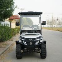 China Lake Horse Golf Buggy 2 Seater Electric Tour Car with 150-200mm Grand Clearance for sale