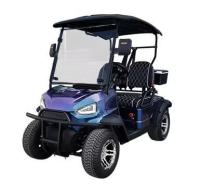 China Chinese Club Electric Golf Carts 2 4 6 Seater Buggy Car with High Climbing Ability for sale