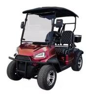 China Chinese Club Electric Golf Carts 2 4 6 Seater Buggy Car with High Climbing Ability for sale