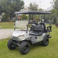 China Electric Car Charger Golf Buggy Lake Horse Golf Cart Transaxle 2 Seater Go Kart for sale