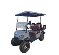 China Maximum Speed ≤30Km/h Electric Golf Cart Charger with Buggy Icon and Lake Horse Icon for sale