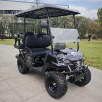 China Electric Golf Buggy with 10 inch Aluminum Alloy Wheels and Li-ion Battery for sale