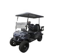 China Electric Golf Buggy with 10 inch Aluminum Alloy Wheels and Li-ion Battery for sale