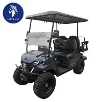 China Electric Golf Buggy with 10 inch Aluminum Alloy Wheels and Li-ion Battery for sale