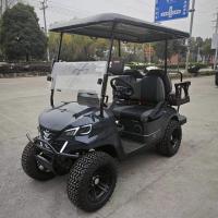 China Electric Car Golf Buggy Mini Electric Vehicle with 10 Inch Aluminum Alloy Wheels for sale