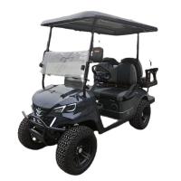 China Lake Horse Electric Golf Cart with 100Ah Lead Acid Battery and 2 Seater Design for sale