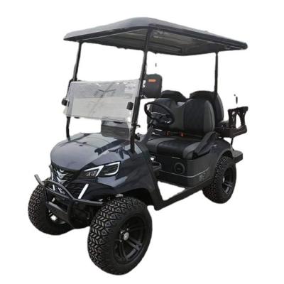 China Lake Horse Electric Golf Cart with 100Ah Lead Acid Battery and 2 Seater Design for sale