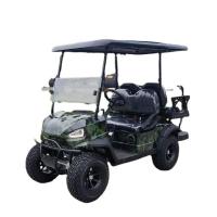 China Electric Golf Carts for Lake Horse Tour 48V/60V/72V Controller Front LED Headlight for sale