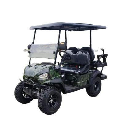 China Electric Golf Carts for Lake Horse Tour 48V/60V/72V Controller Front LED Headlight for sale