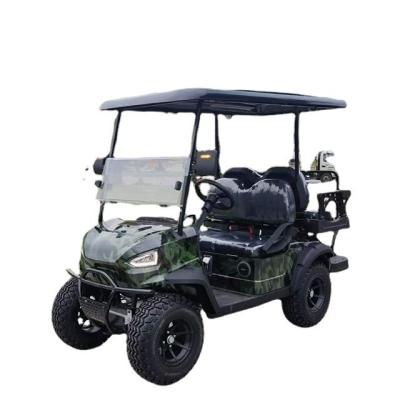 China Electric Golf Carts for Lake Horse Tour AC 3.0KW Motor and Curb Weight 400-500kg for sale