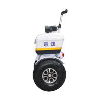 China 48V Electric Vehicles with Maximum Climbing 35 Degrees Maximum Load Capacity 150KG for sale