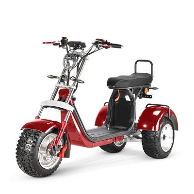 China 60V Electric Mini Moto Cross for Market High Speed Fast Charging Electricity Powered for sale