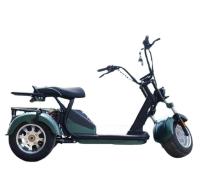 China Electric Tricycle Motorcycle Type 60V Sport Bike for Adults Front and Rear Disc Brake for sale