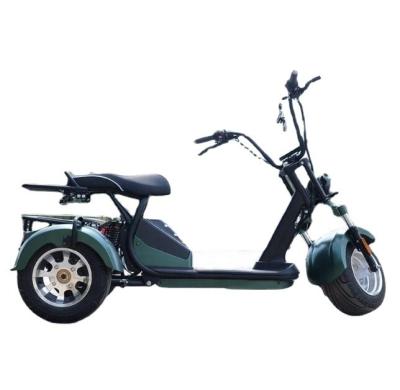China Electric Tricycle Motorcycle Type 60V Sport Bike for Adults Front and Rear Disc Brake for sale