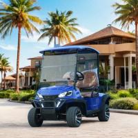 China Flash Sale Street Legal Golf Carts with CE Golf Trolley and 2500*1250*1850 Dimensions for sale