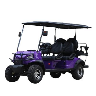 China Surprise CE Mini Gas Powered Golf Cart 48V/60V/72V Controller Max Speed 20-30km/h for sale
