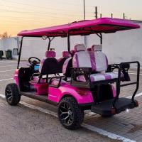 China Manufacturers Sale 4 2 Seater Electric Golf Cart with Front disc Rear drum Brake System for sale