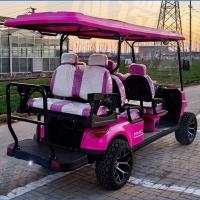 China Manufacturers Sale 4 2 Seater Electric Golf Cart with Front disc Rear drum Brake System for sale