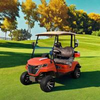 China Electric Golf Cart 2 Seater Luxury Utility Vehicle with Li-ion Battery and Performance for sale