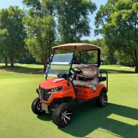 China Electric Golf Cart 2 Seater Luxury Utility Vehicle with Li-ion Battery and Performance for sale