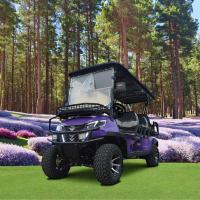 China 48V Electric Lithium Lake Horse Golf Cart with 4 Seats and Front LED Headlight for sale