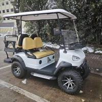 China AC Motor 4-6 Seater Off-Road Electric Golf Carts with Lake Horse Design Direct Supply for sale
