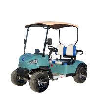 China Lake Horse 2-Seat Electric Golf Cart with Long Range 4-Wheel Drive and Lithium Battery for sale