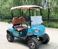China Lake Horse 2-Seat Electric Golf Cart with Long Range 4-Wheel Drive and Lithium Battery for sale