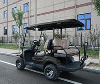 China 4x4 Golf Cart with Folded Back Seat and Front LED Headlight Materials from Lake Horse for sale