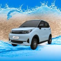 China Small Cargo Car for Adults Mini EV Cars and Budget-Friendly Transportation Solution for sale