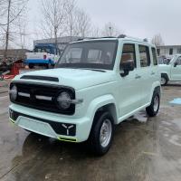 China 2024 Energy Adult Vehicle 4WD Left Drive Car with Four-Wheel Disc Brake and 2000W Power for sale