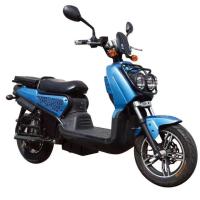 China City and Country Delivery Electric Scooter with EEC Climbing Slope F/R Disc/Drum for sale