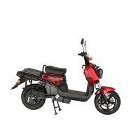 China City and Country Delivery Electric Scooter with EEC Climbing Slope F/R Disc/Drum for sale