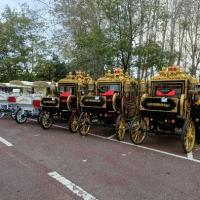 China DC48v FiberGlass Horse Carriage Wagon for 2024 Model Sightseeing Christmas Ride Fun for sale