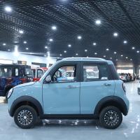 China 3000W Motor Mini Adult EV Car in Custom Colors Manufactured by Energy Vehicle Company for sale