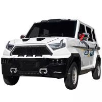 China AC Motor Full-Size Pickup Truck with Enclosed Cargo Box and Minimal Running Costs for sale