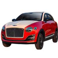 China 2024 Sedan Adults 5 Seater High Speed Energy Vehicles Mini Cars for and Right Steering for sale