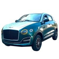 China 2024 Sedan Adults 5 Seater High Speed Energy Vehicles Mini Cars for and Right Steering for sale