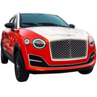 China 2024 Sedan Adults 5 Seater High Speed Energy Vehicles Mini Cars for and Right Steering for sale
