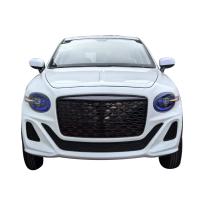 China 2024 Sedan Adults 5 Seater High Speed Energy Vehicles Mini Cars for and Right Steering for sale