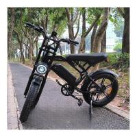 China Waterproof Level IP54 V20 Electric Bike 250W 750W Motor Fatbike EU E-bike Brake Disk Brake for sale