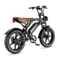 China Waterproof Level IP54 V20 Electric Bike 250W 750W Motor Fatbike EU E-bike Brake Disk Brake for sale