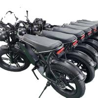 China Waterproof Level IP54 V20 Electric Bike 250W 750W Motor Fatbike EU E-bike Brake Disk Brake for sale