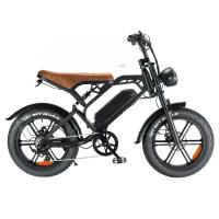 China Waterproof Level IP54 V20 Electric Bike 250W 750W Motor Fatbike EU E-bike Brake Disk Brake for sale