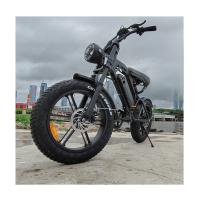 China Waterproof Level IP54 V20 Electric Bike 250W 750W Motor Fatbike EU E-bike Brake Disk Brake for sale